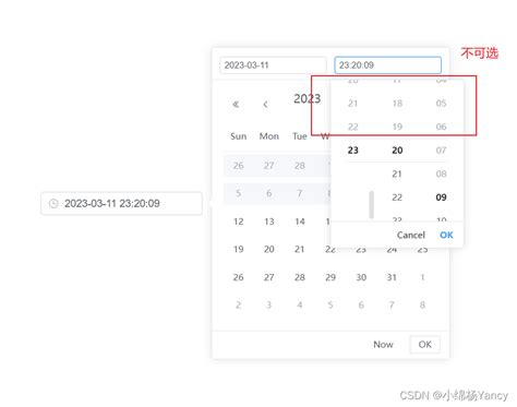 elementplus datetimepicker日期时间选择器限制可选时间范围（精确时分秒） elementplus日期选择器限制今天以后的日期 csdn博客