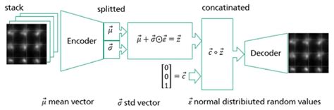 conditional variational autoencoder at one glance download scientific diagram