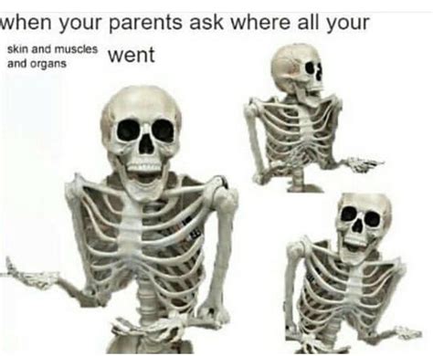 No Idea Imgflip