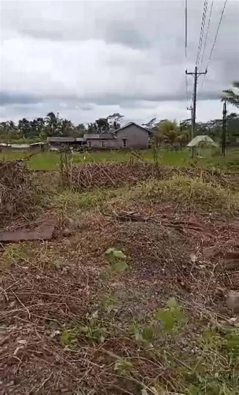 Dijual Tanah Sawah View Gunung Merapi Dan View Sawah Jk Tanah