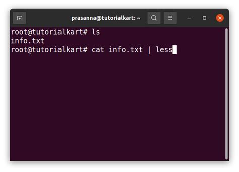 Linux Display Contents Of A File