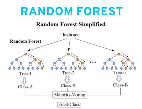 random forest decision tree