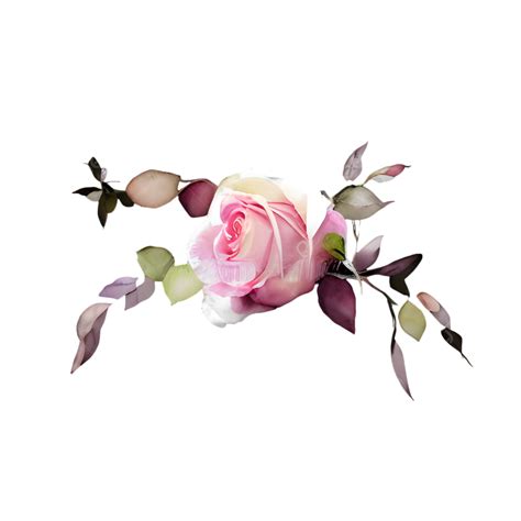 Imagem Nostálgica De Buquê De Rosas Rosa Em Aquarela PNG Lindo