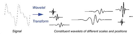 graphically of continuous wavelet transform cwt download scientific diagram
