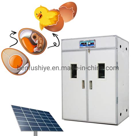 Fully Automatic Intelligent Incubator Agricultural Egg Constant
