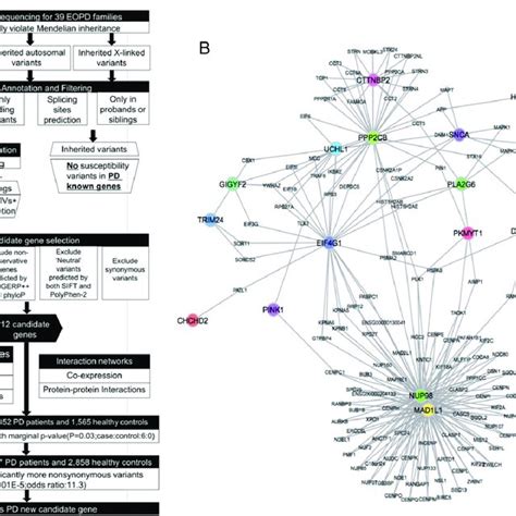 data analysis workflow and the protein protein interaction networks download scientific diagram