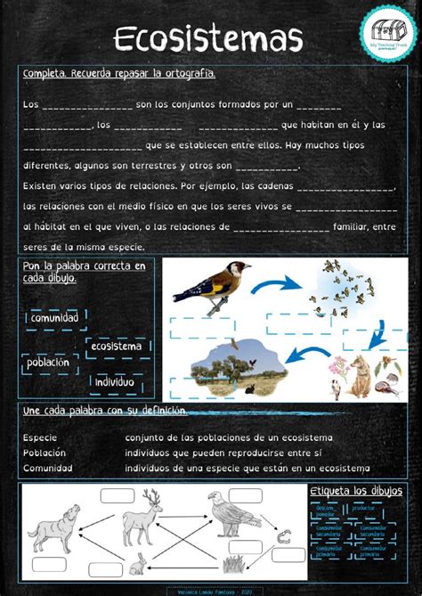 Ejercicio De Ecosistemas Repaso En 2022 Ecosistemas Actividades De
