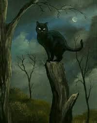 El Gato Negro resumen características personajes y mas