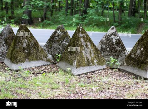 Reinforced Concrete Anti Tank Barrier In Nature From The Second World
