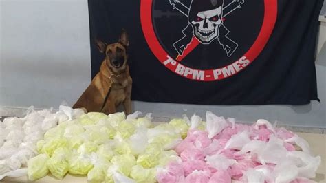 Polícia Militar apreende mais de 7 mil pinos de cocaína no ES Aqui