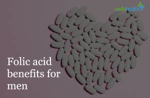 Folic Acid Benefits For Men WellaHealth
