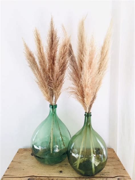 Pampa Déco 7 idées déco avec des herbes de la pampa Pampa