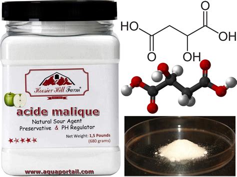 Acide malique définition et explications acide okgo net