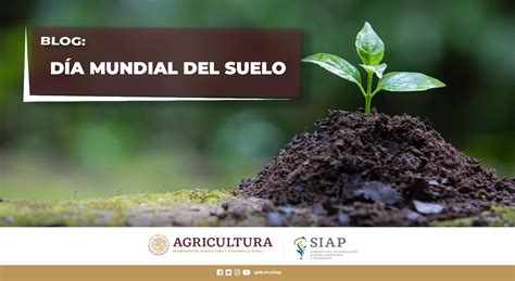 Día Mundial del Suelo Servicio de Información Agroalimentaria y