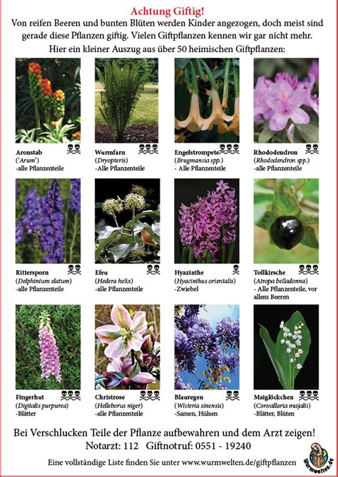 Giftpflanzen Im Garten Wurmwelten De