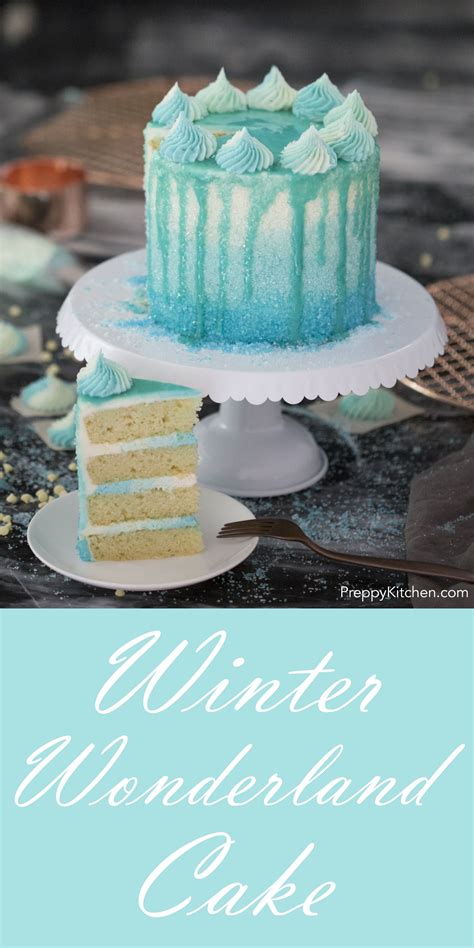 Winter Wonderland Cake Via Preppykitchen Birthday Cakes Kid