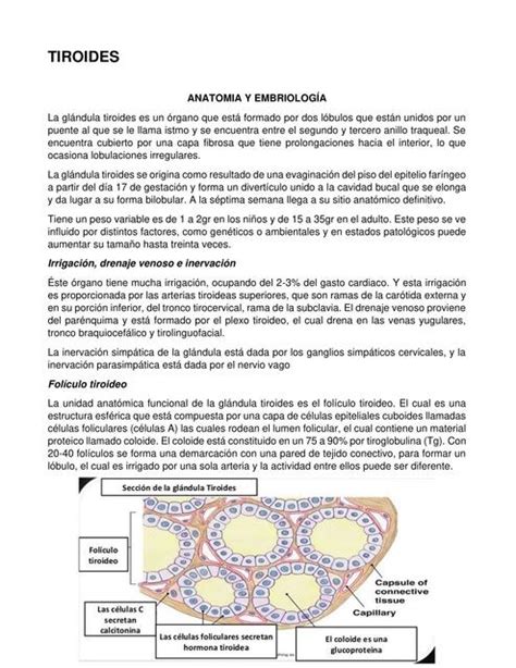 Glándula Tiroides Mary Carmen Vizcarra uDocz