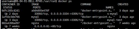 docker权限 “got permission denied while trying to connect to the docker daemon socket at unix