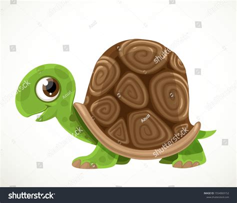 Cute Cartoon Green Turtle Big Tortoise Stock Vector Royalty Free