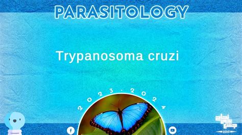 Revision Of L Part Trypanosoma Cruzi American Trypanosoma
