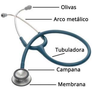 Fonendoscopio O Estetoscopio Web Especializada