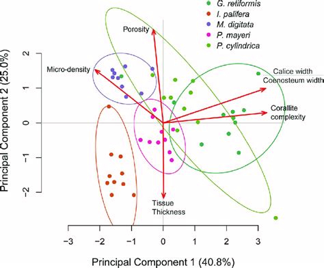 Principal Component Analysis Biplot Object Points Represent Individual