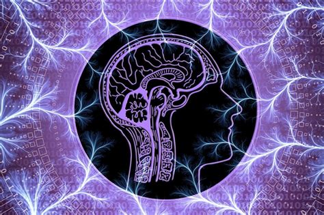 what is neuro linguistic programming and how does it work