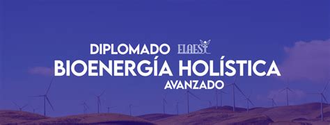 Diplomado De Bioenergía Holística