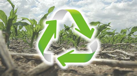 Agricultura Regenerativa Aliada Para Un Futuro Sostenible Agromg
