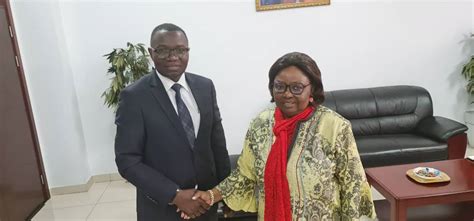RDC Plan Directeur d Industrialisation Les investisseurs américains