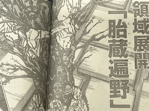 呪術廻戦205話ネタバレ九十九VS羂索 ワンピース考察甲塚誓ノ介のいい芝居してますね Part 3
