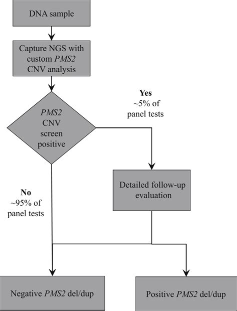 efficient detection of copy number mutations in pms2 exons with a close homolog the journal of