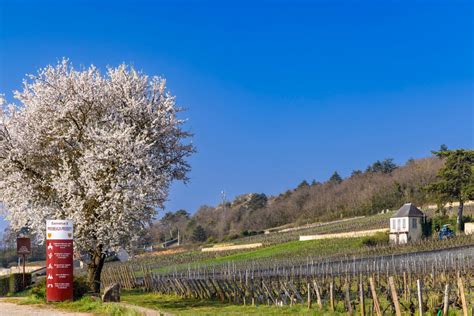 Un itinéraire magnifique à visiter au coeur de la Bourgogne Carre d info