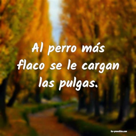 Al perro más flaco se le cargan las pulgas