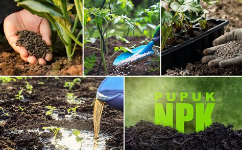 Petani Harus Tahu Ini Jenis Jenis Pupuk Untuk Tanaman