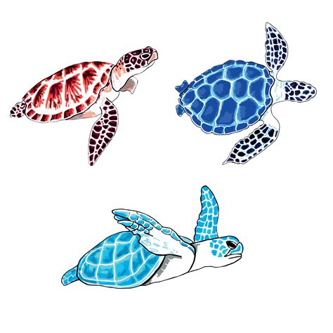 Set Of Brown Blue And Aqua Color Sea Turtles Vector Eps Illustration