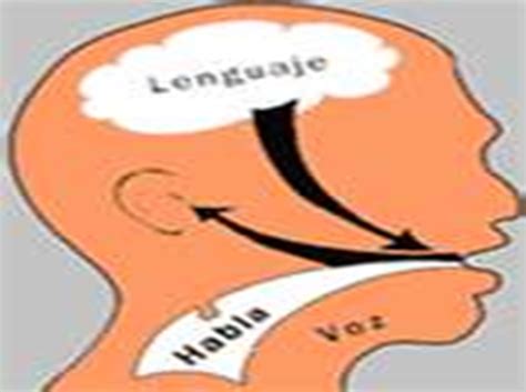 Lenguaje Lengua Y Habla Actividades Sobre La Lengua Lenguaje Hot Sex