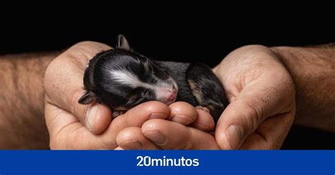 Foto Las Cosas Est N Mejorando Estas Son Las Incre Bles Im Genes