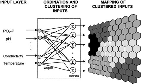 the self organizing map som algorithm download scientific diagram