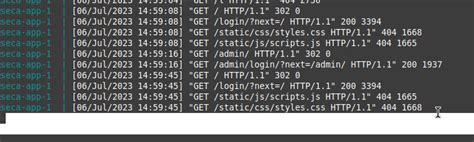 Django Application Runs In Docker Container Does Not Load Static