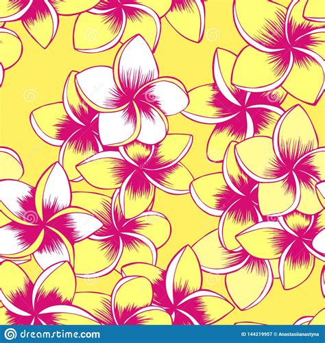 Teste Padrão Tropical Do Vetor Sem Emenda Flor Do Frangipani