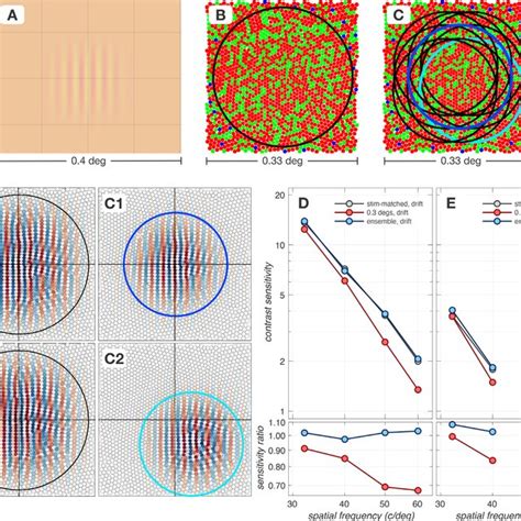 figure a 6 impact of spatial summation contrast sensitivity functions download scientific