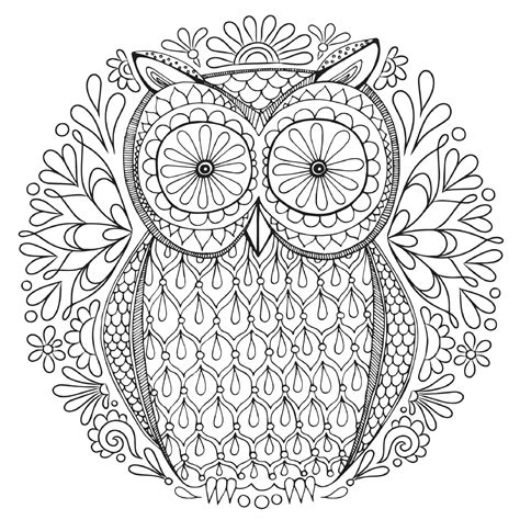 Corujas Para Colorir Imagens Png