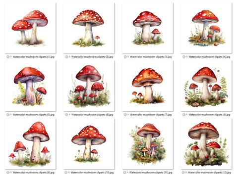 Mushroom Watercolor Clipart Watercolor Forest Art Fantasy Clipart