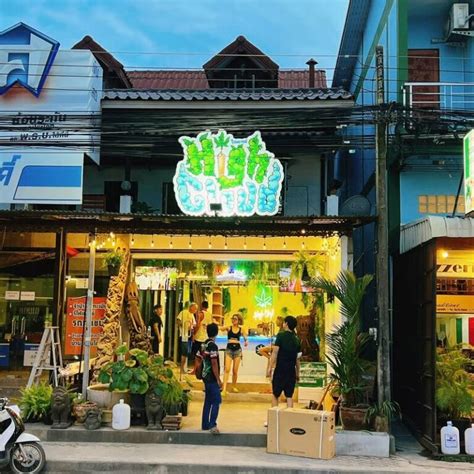 Top Rated Cannabis Dispensaries In Koh Phangan Review