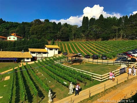Rota Do Vinho S O Roque E O Que Fazer Na Cidade