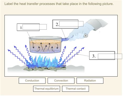 Solved Label The Heat Transfer Processes That Take Place In The