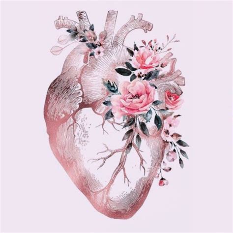 Pink Human Heart Aesthetic Human Heart Art Anatomy Art Anatomical