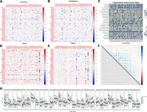 Frontiers Integrative Pan Cancer Analysis And Clinical