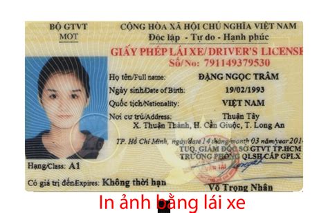 Tất tần tật hình ảnh các loại bằng lái xe bao gồm hình ảnh bằng lái xe